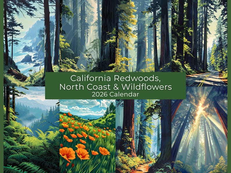 2026 Nature Art Calendar - California Redwoods, Lost Coast ...