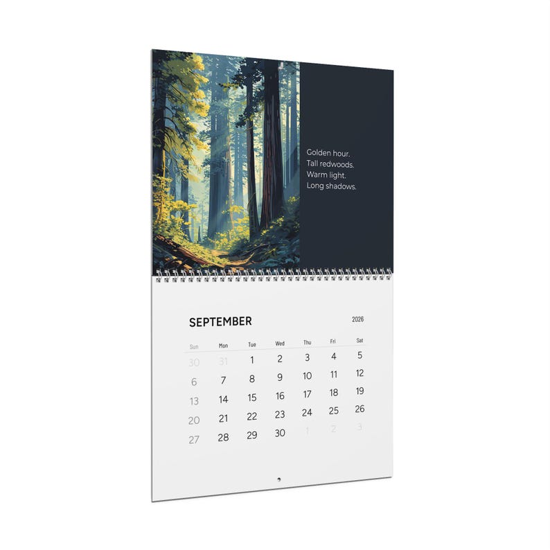 2026 Nature Art Calendar - California Redwoods, Lost Coast ...