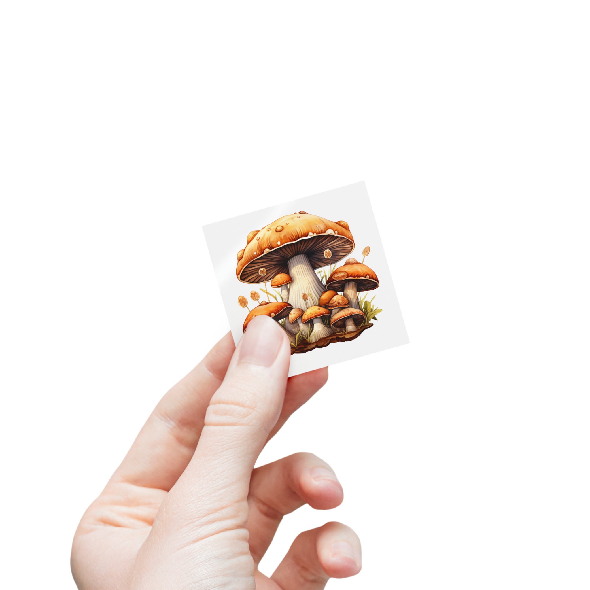 Mushroom Sticker Roll Square Mushroom Sticker Herbal Theme Sticker ...