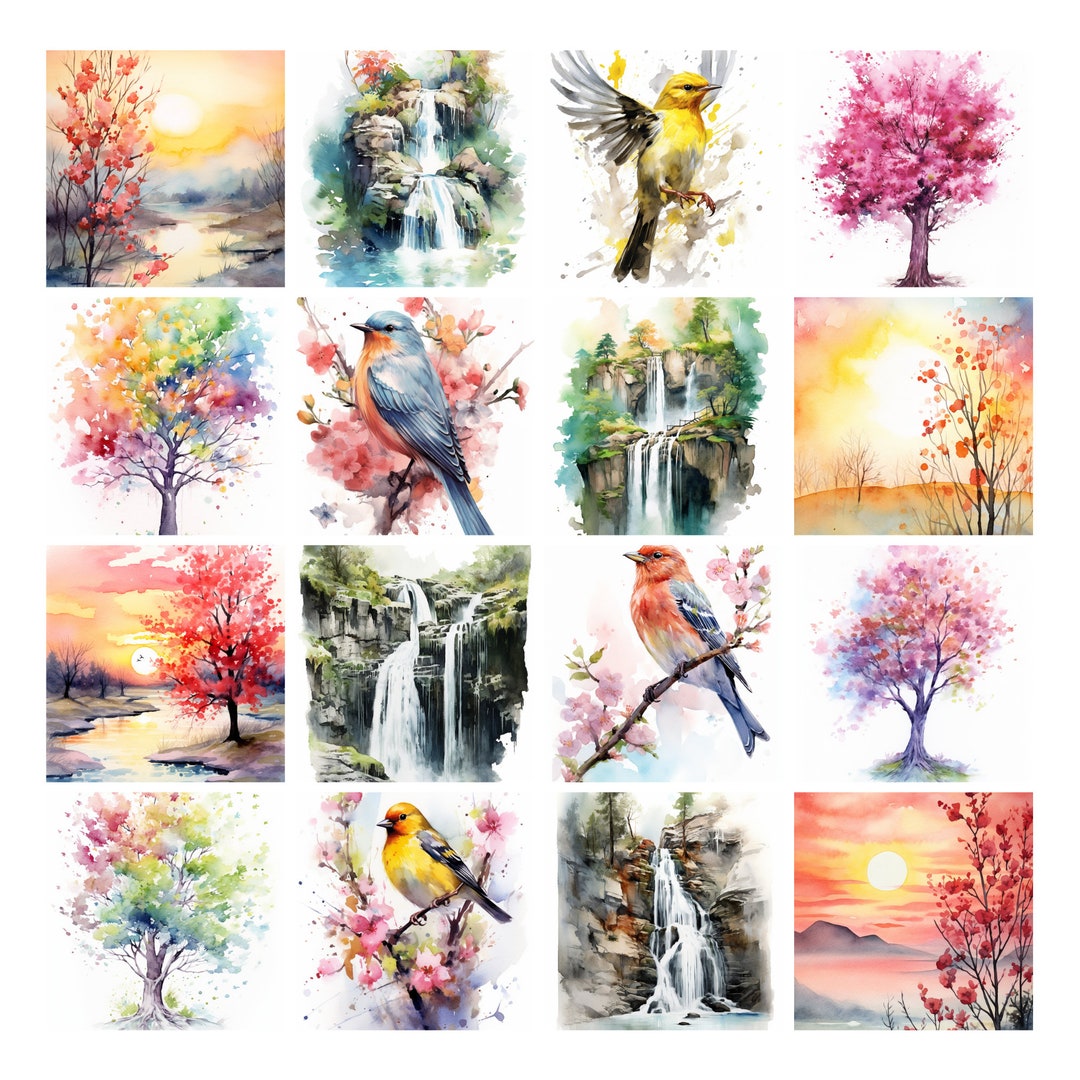 Watercolor Spring Clip Art MEGA Bundle Floral Clip Art - Etsy