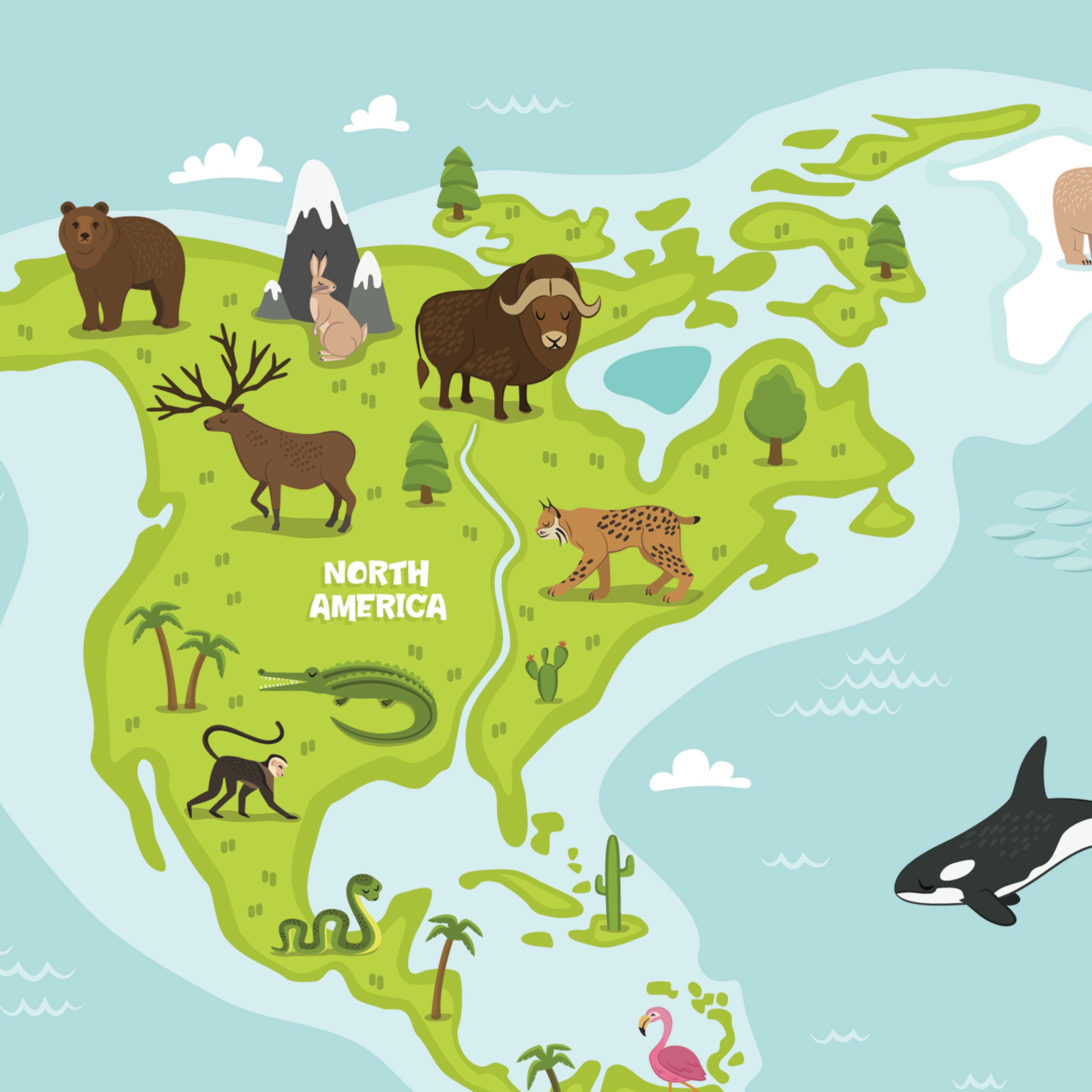 Wild Wonders World Map Kids Wallpaper| Cute Style Kids Room Wallpaper ...