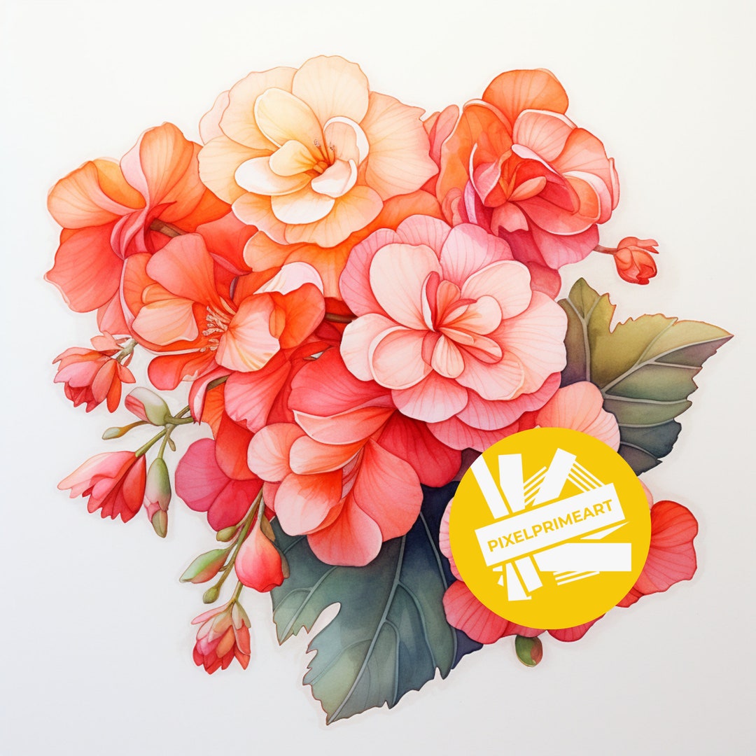 Watercolor Begonia Clipart, Printable Watercolor Clipart, Flower ...