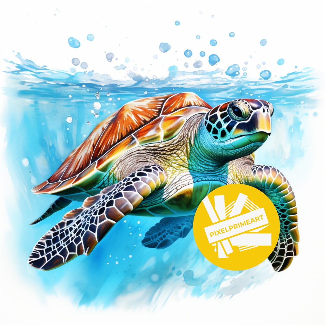 Turquoise Turtle Watercolor Clipart, Printable Watercolor Clipart ...