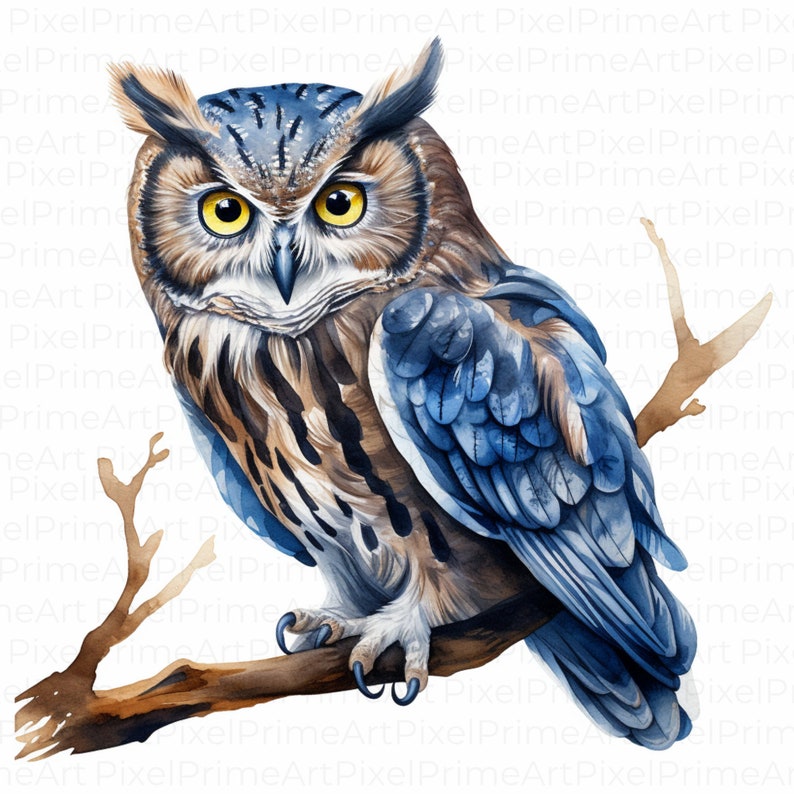 Watercolor Owl Clipart, Printable Watercolor Clipart, Owl Clipart, High ...