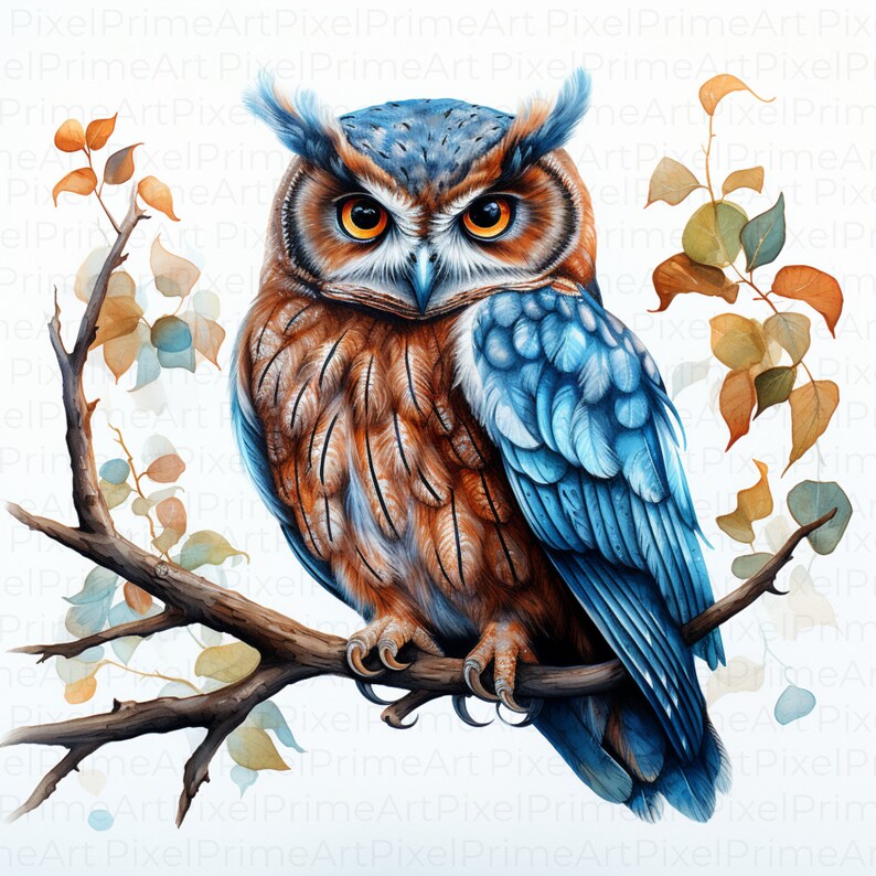 Watercolor Owl Clipart, Printable Watercolor Clipart, Owl Clipart, High ...