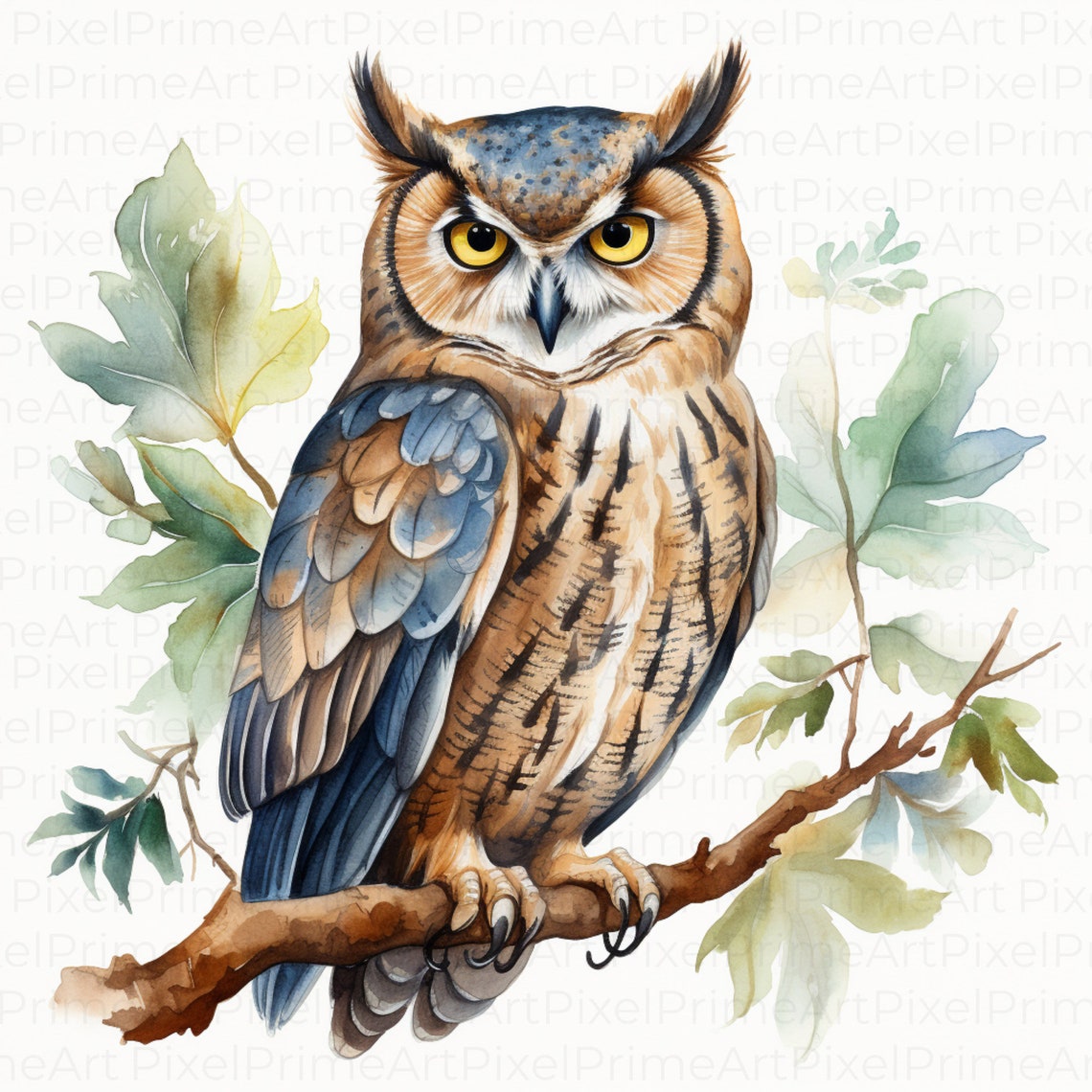Watercolor Owl Clipart, Printable Watercolor Clipart, Owl Clipart, High ...