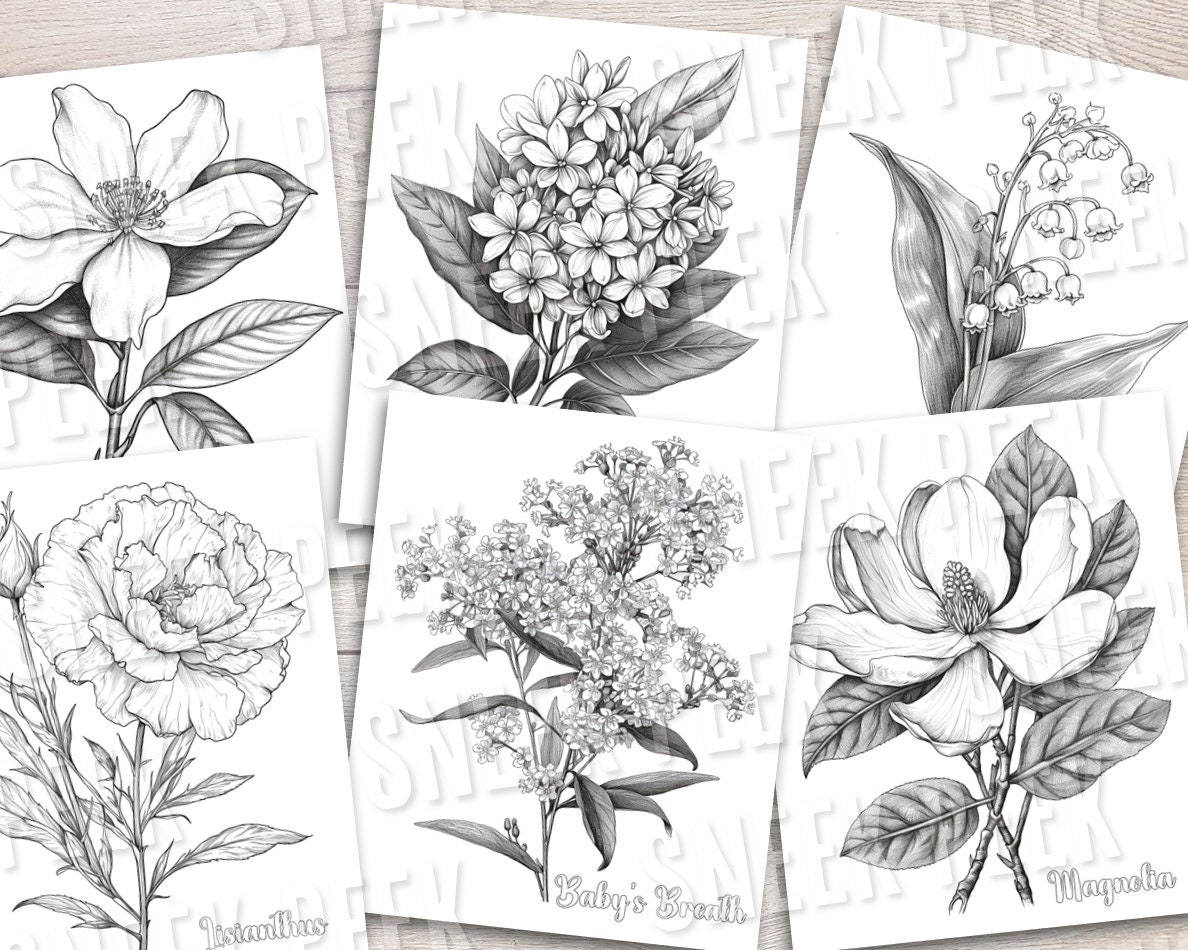 40 Printable Garden Flowers Coloring Pages Coloring Book - Etsy