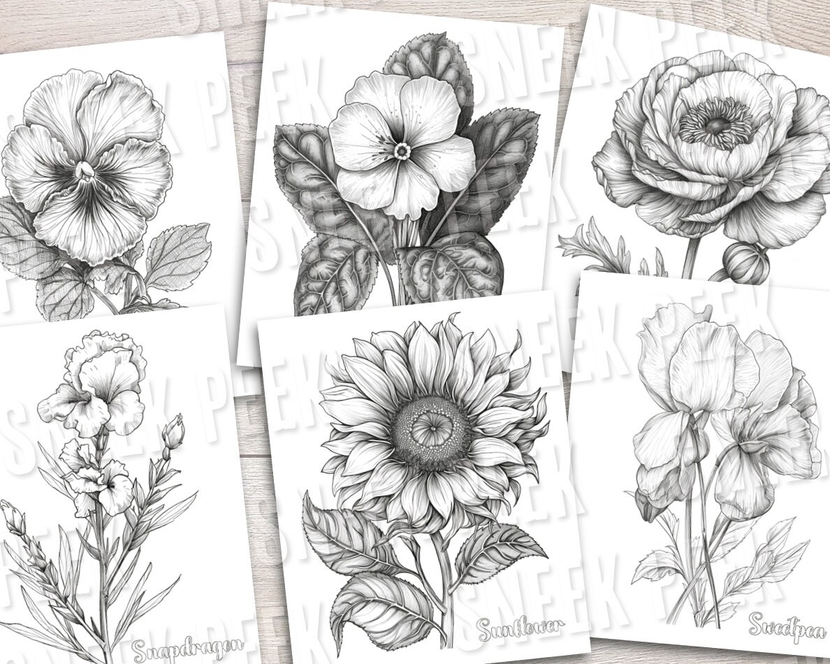 40 Printable Garden Flowers Coloring Pages Coloring Book - Etsy