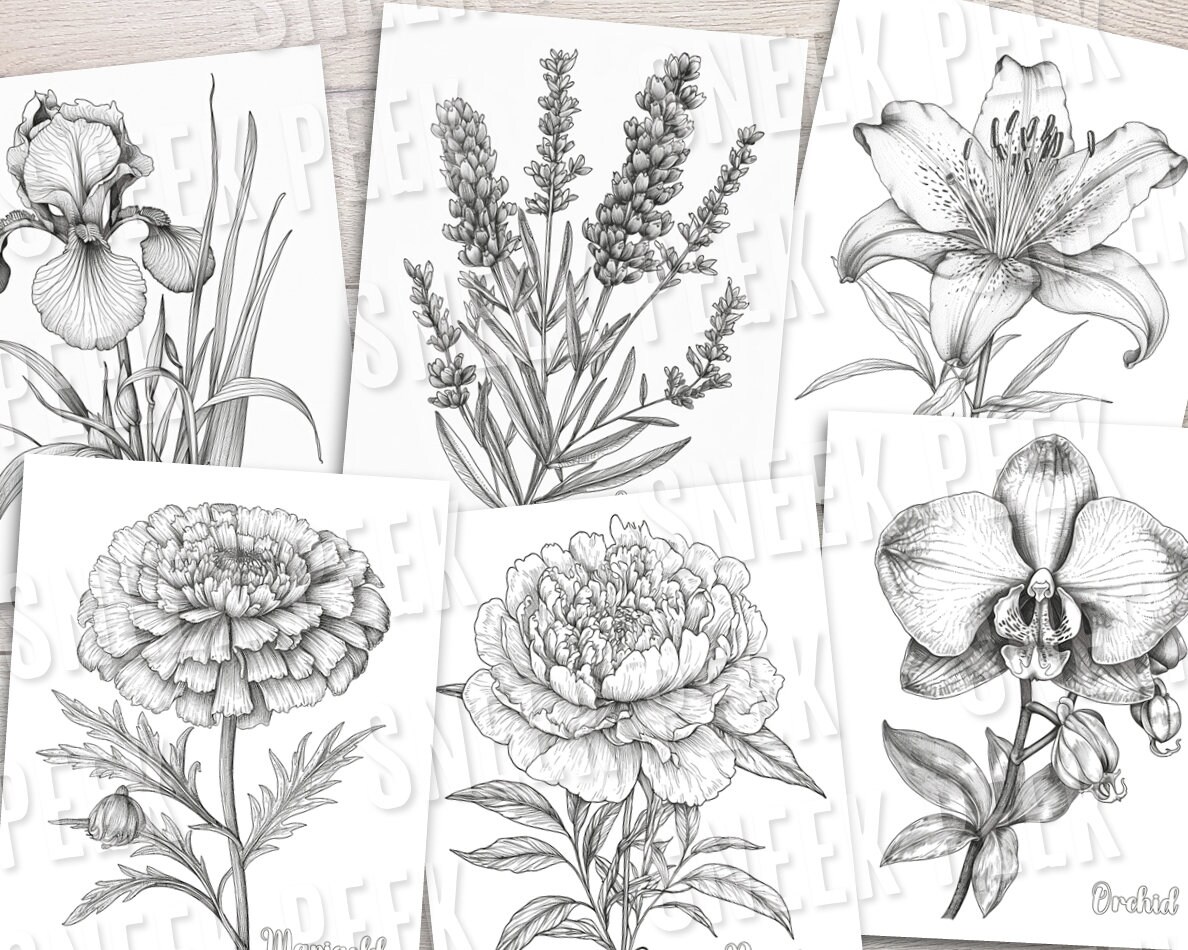 40 Printable Garden Flowers Coloring Pages Coloring Book - Etsy