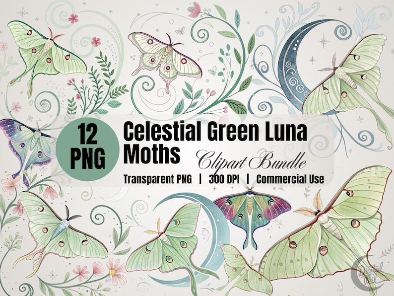Luna Moth Clipart: Celestial Sumi-e Art (PNG Download) - Etsy