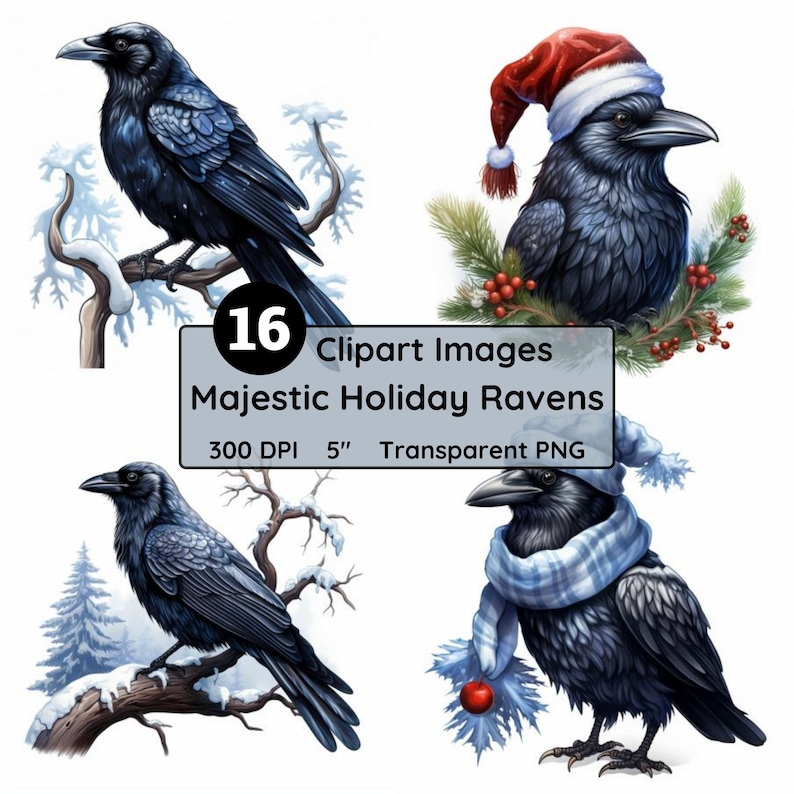 Winter Holiday Raven Clipart Images Set of 16 Festive Christmas Clipart ...