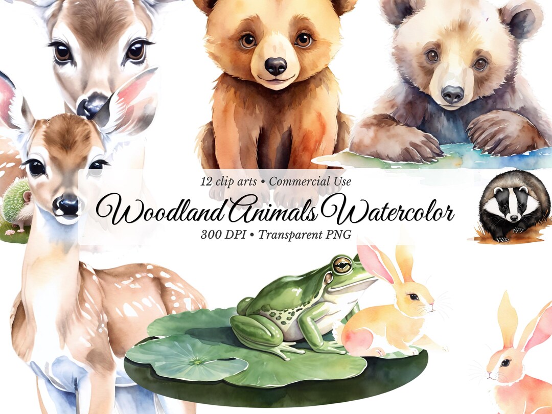 Watercolor Woodland Animals Clipart: Forest Nursery Decor (PNG Bundle ...