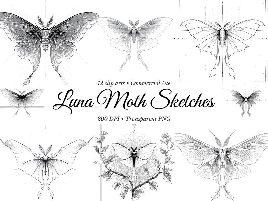 Luna Moth Clip Art Bundle: Ethereal Insect PNG, Tattoo Design (digital ...