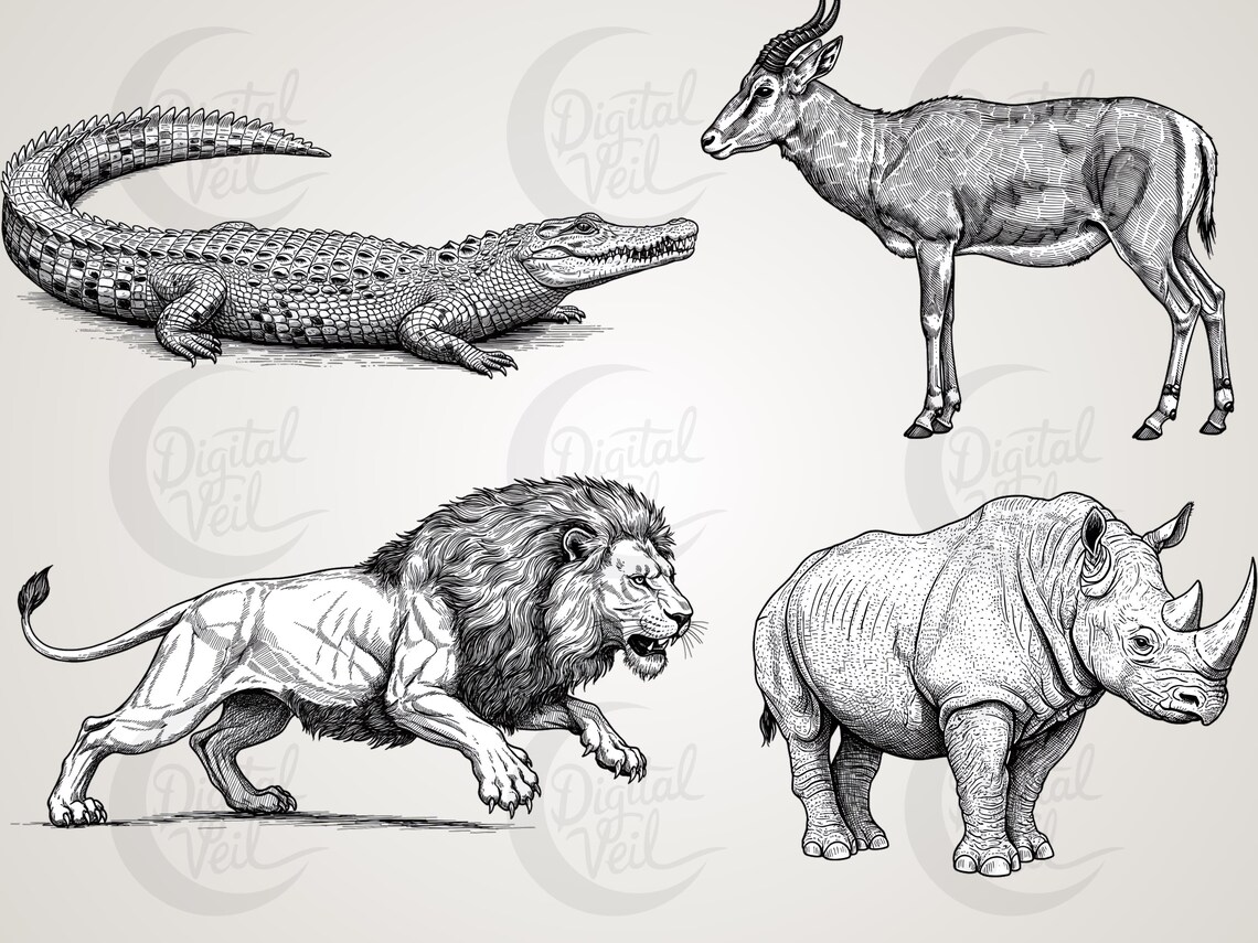 Vintage Safari Animals Clipart: Engraved Style PNG (digital Download ...