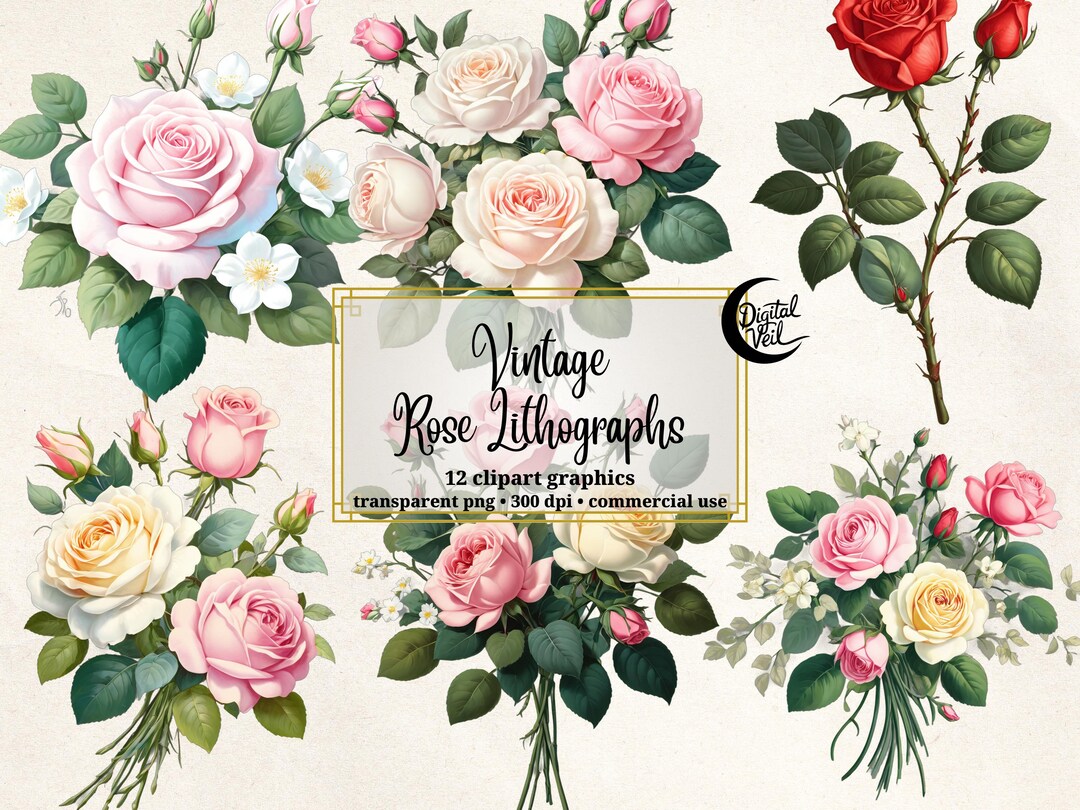 Vintage Rose Clipart Botanical Illustration Digital Flowers Wedding ...