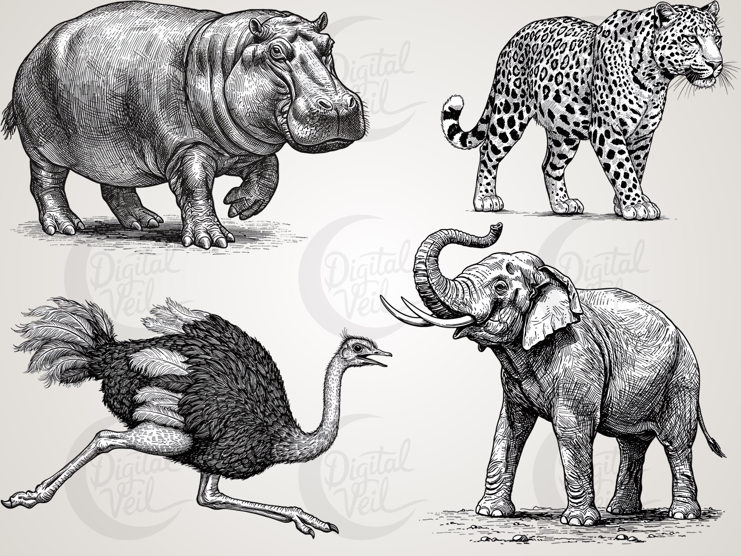 Vintage Safari Animals Clipart: Engraved Style PNG (digital Download ...