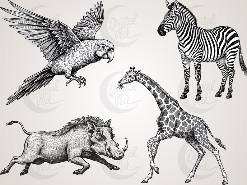 Vintage Safari Animals Clipart: Engraved Style PNG (digital Download ...