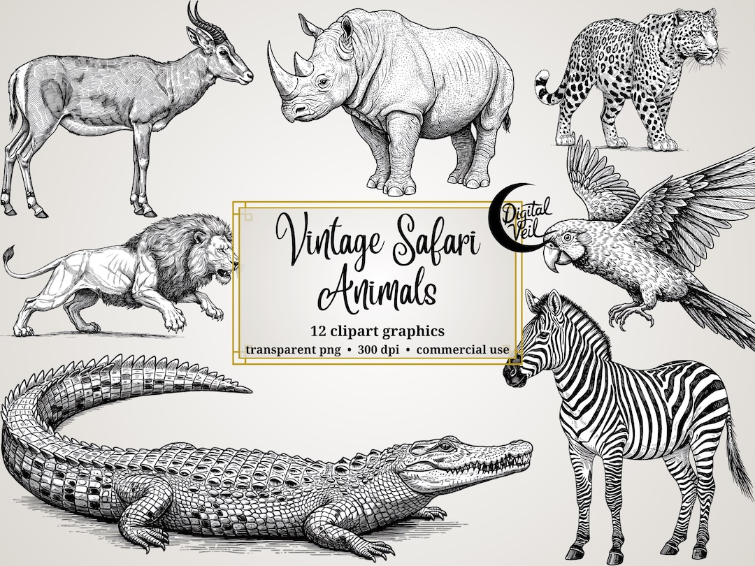 Vintage Safari Animals Clipart: Engraved Style PNG (digital Download ...