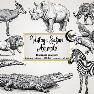 Vintage Safari Animals Clipart: Engraved Style PNG (digital Download ...