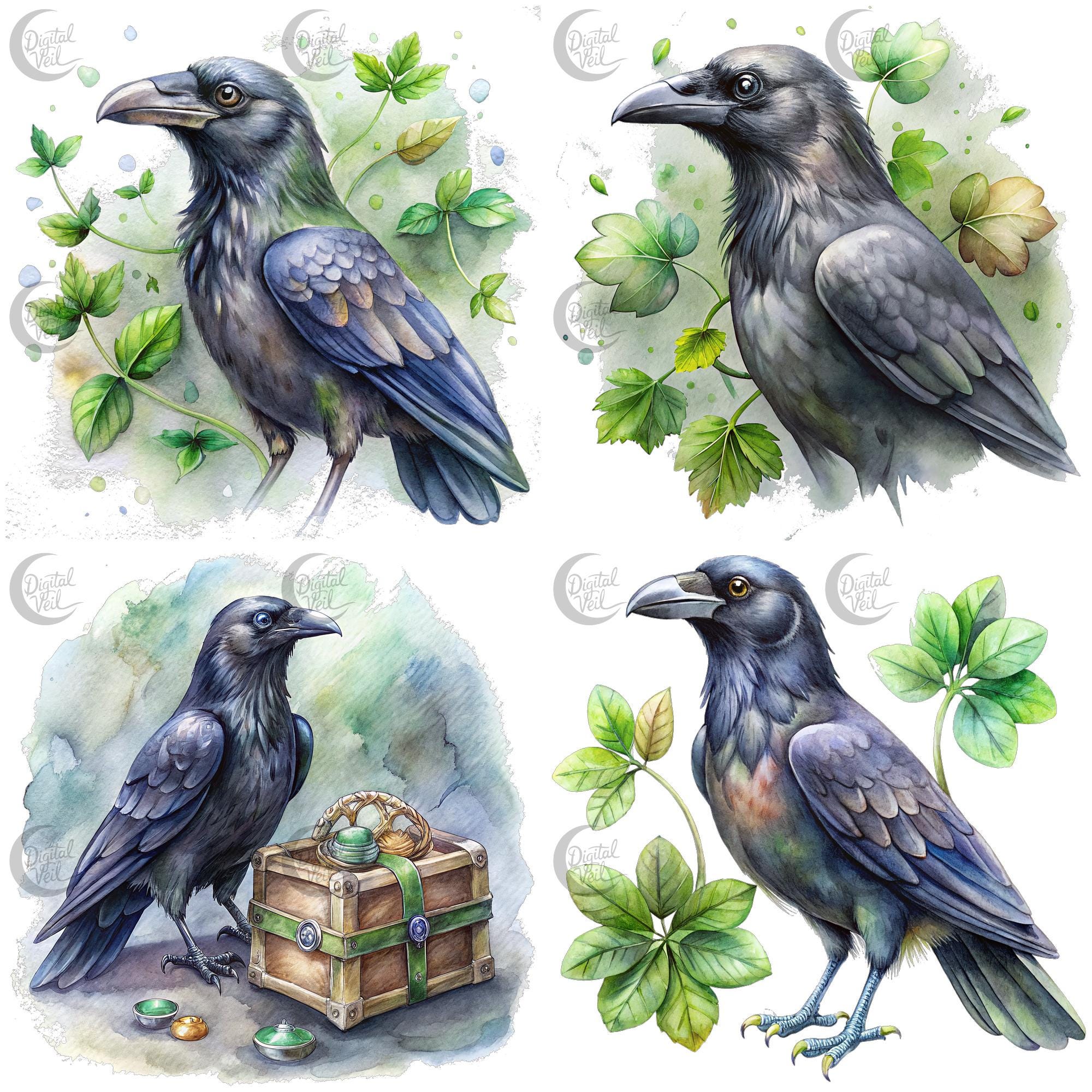 Watercolor Raven Clipart, Celtic Crow Digital Art, Shamrock Clover Bird ...