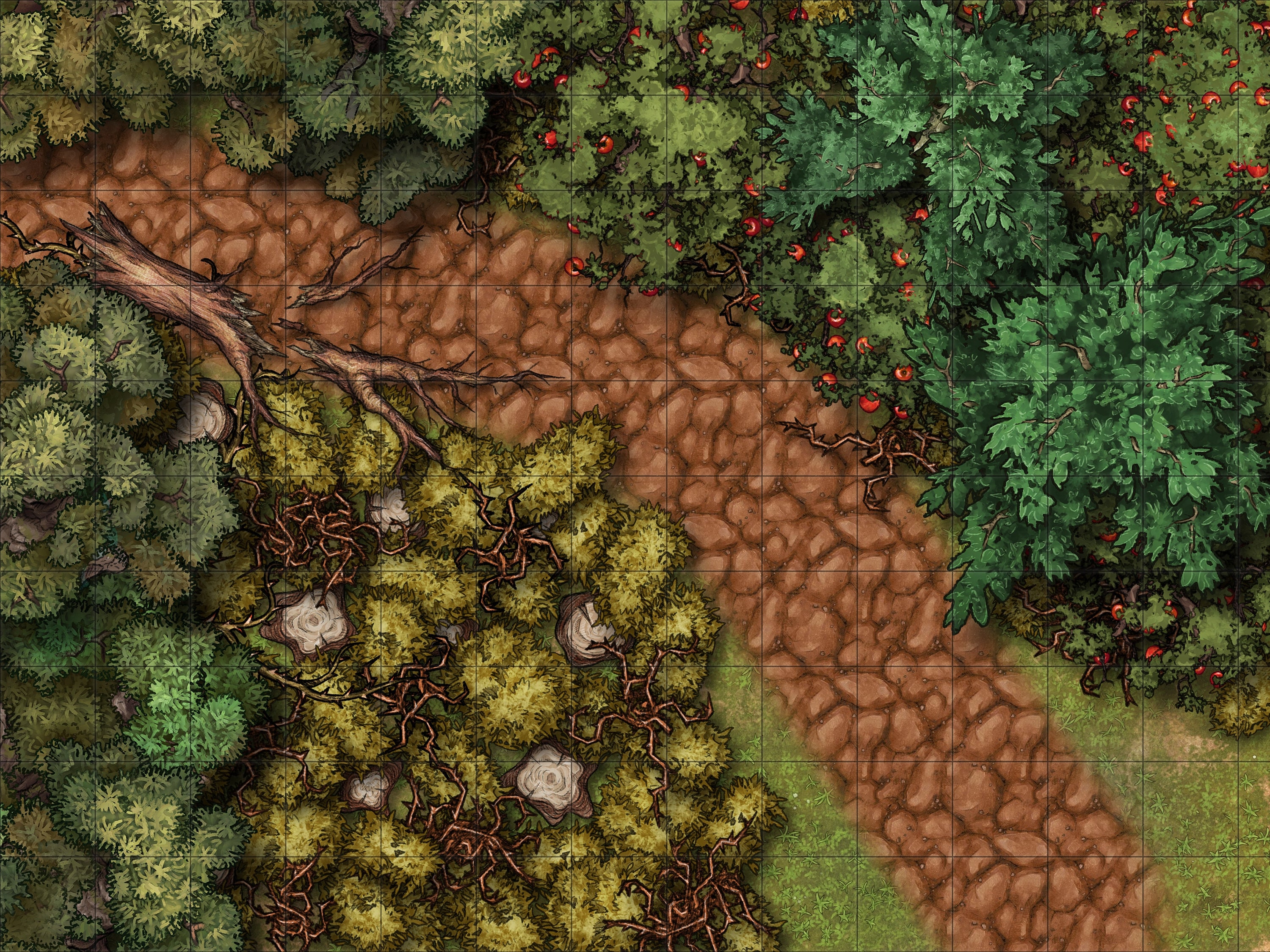 Custom Dnd/fantasy RPG Maps - Etsy