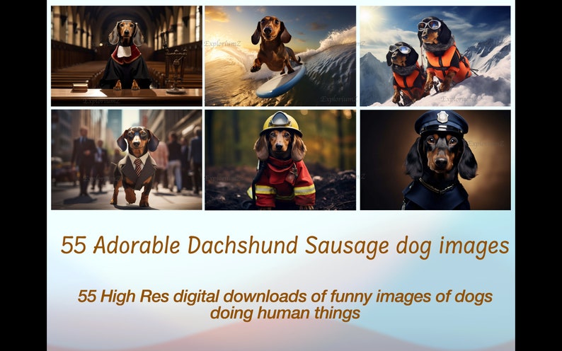 55 Dachshund, Sausage Dog Adorable Funny Images. Dachshund's Doing ...