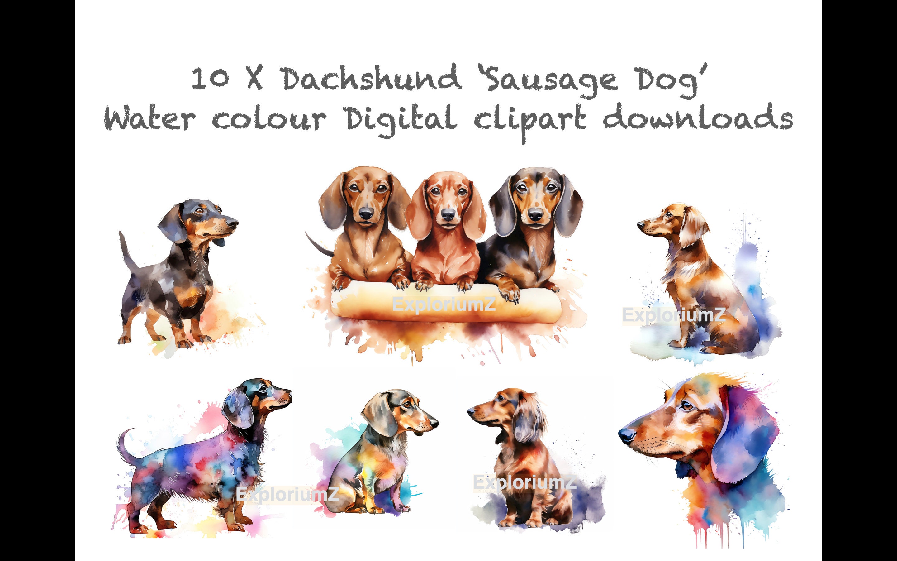 10 Dachshund Adorable 'sausage Dog’ Water Colour Digital Clipart ...