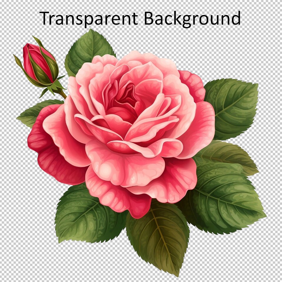 10 Roses Clipart, Transparent Background, Png Files, Digital Download ...