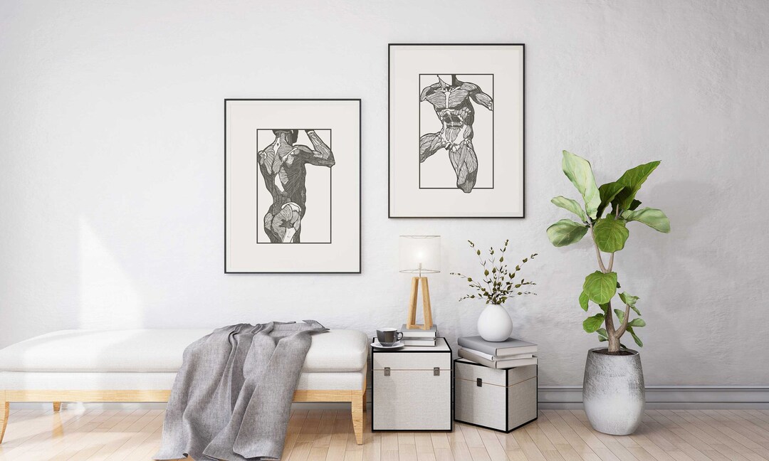Anatomical Human Body Posters Minimalist Wall Art Set of 2 - Etsy