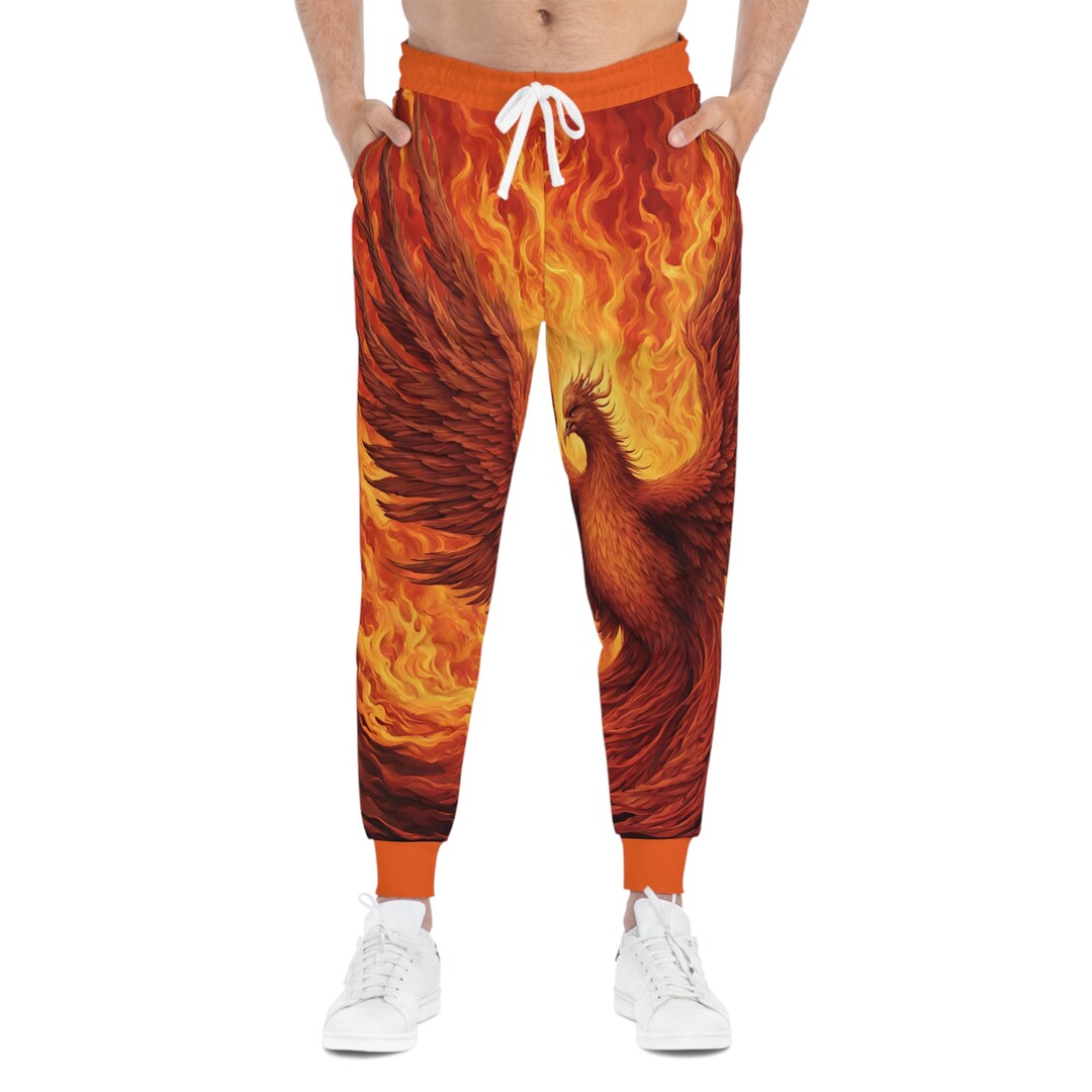 Phoenix Rising Fire Flames Bird Reborn Rebirth Regenerate - Etsy