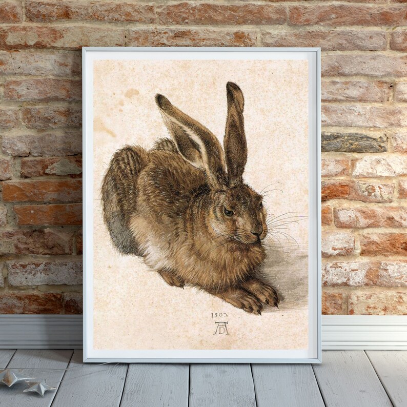 Albrecht Durer - Young Hare (1502) - Classic Painting Photo Poster ...