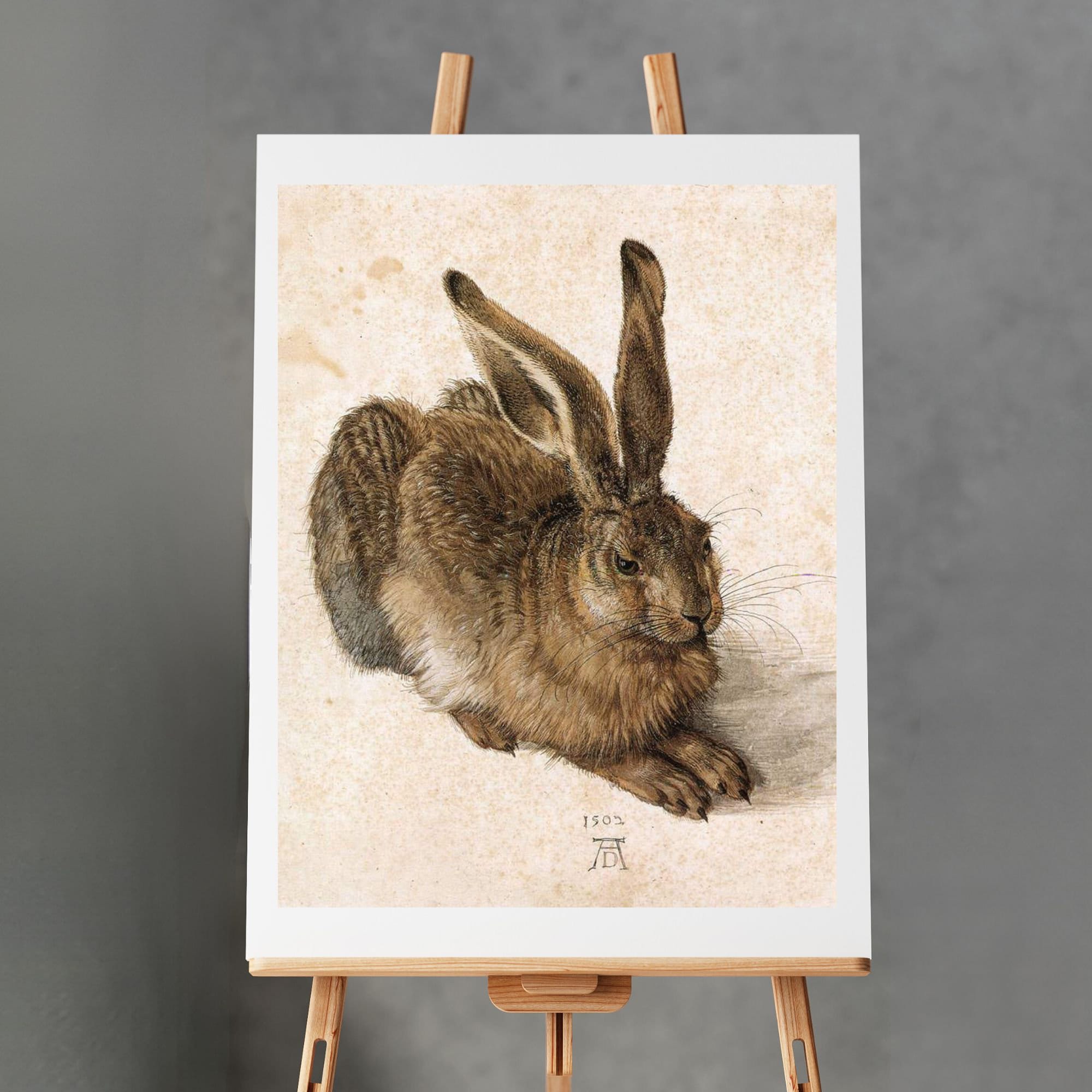 Albrecht Durer - Young Hare (1502) - Classic Painting Photo Poster ...