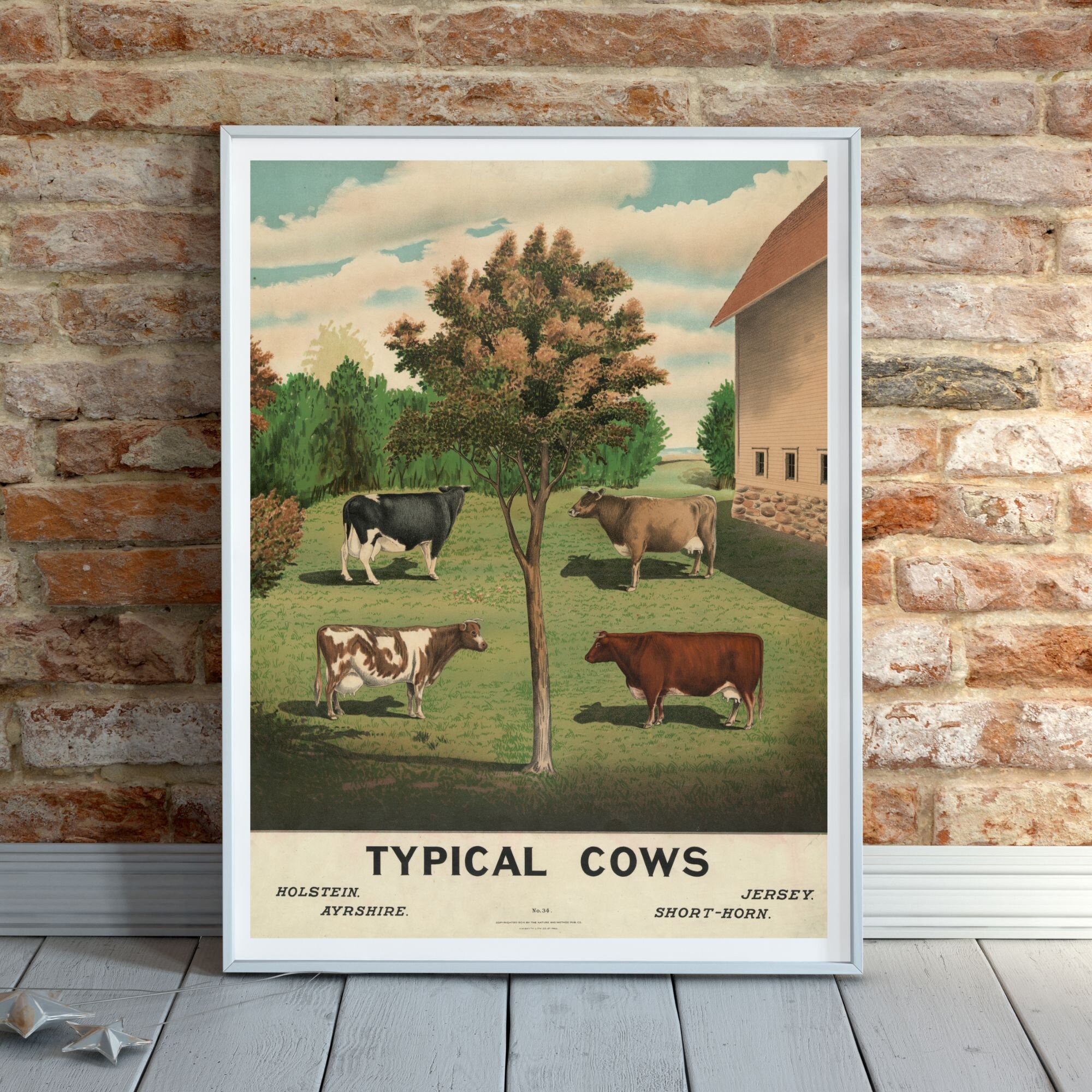 Vintage Cow Breeds Poster: Farmhouse Animal Illustration (digital ...