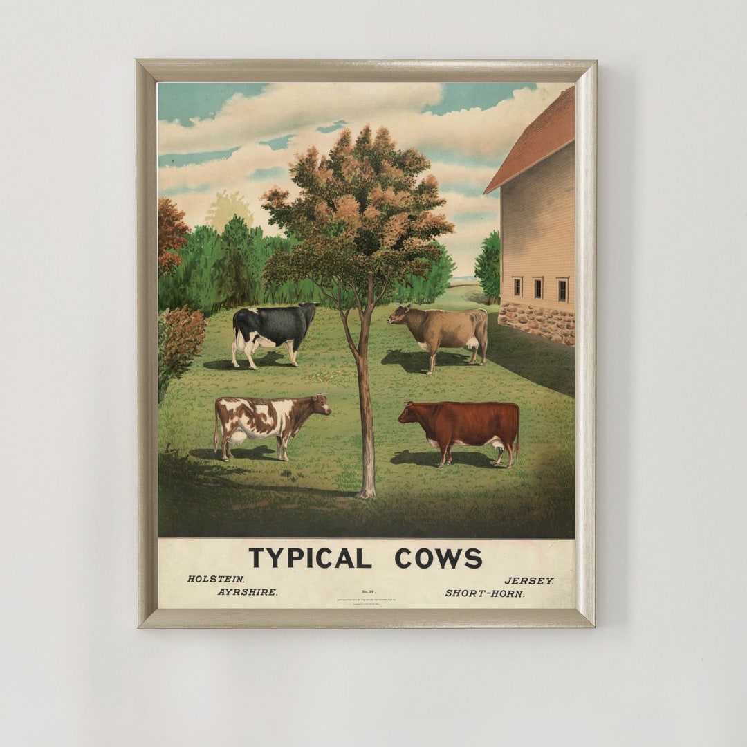 Vintage Cow Poster, Library Farm Animal Illustration Farmhouse Antique ...