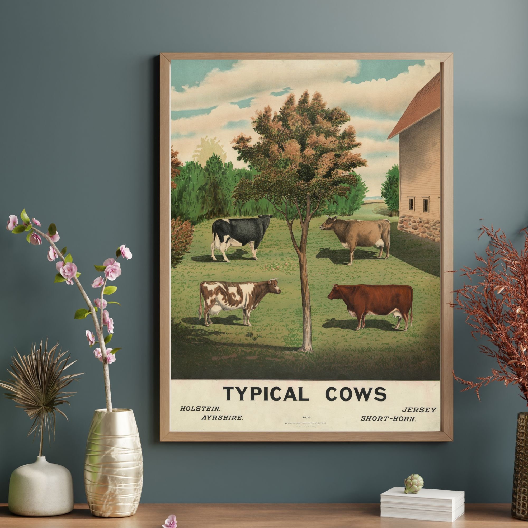 Vintage Cow Breeds Poster: Farmhouse Animal Illustration (digital ...