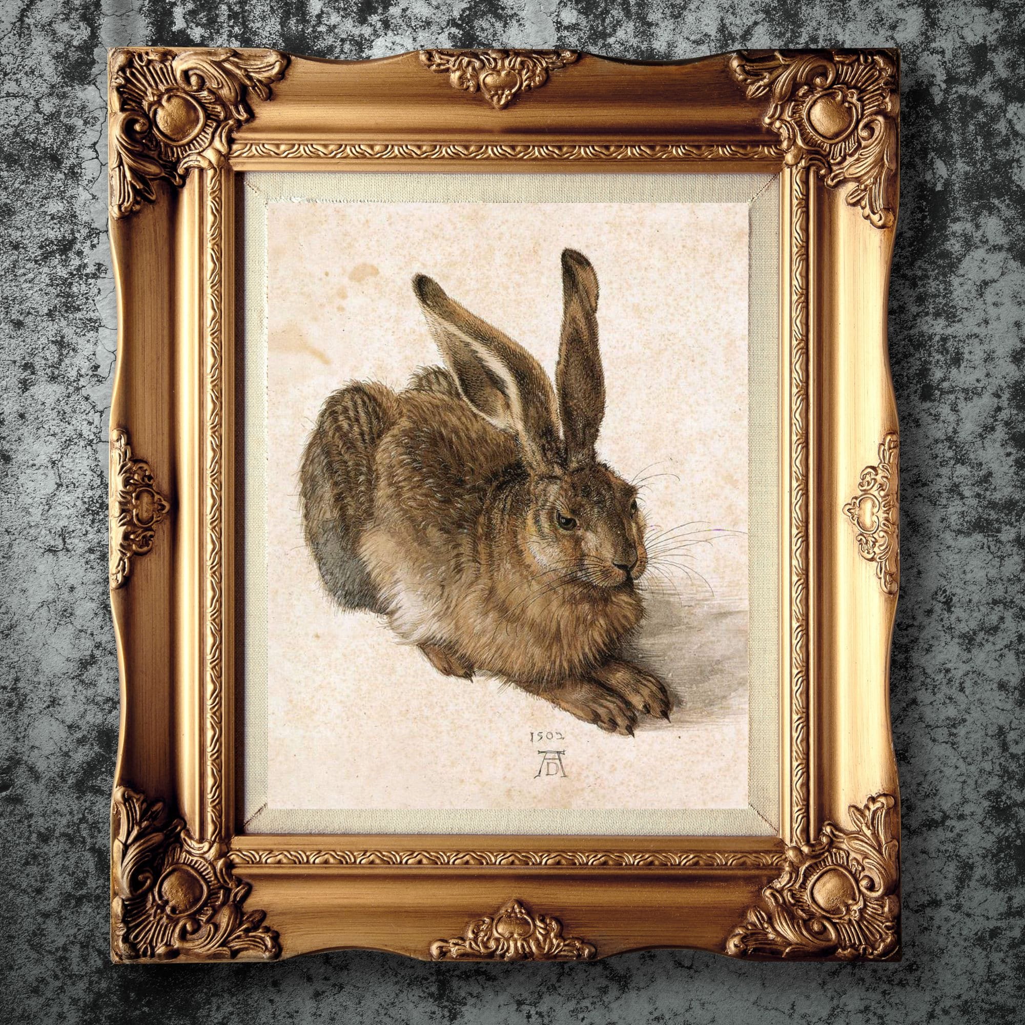 Albrecht Durer - Young Hare (1502) - Classic Painting Photo Poster ...