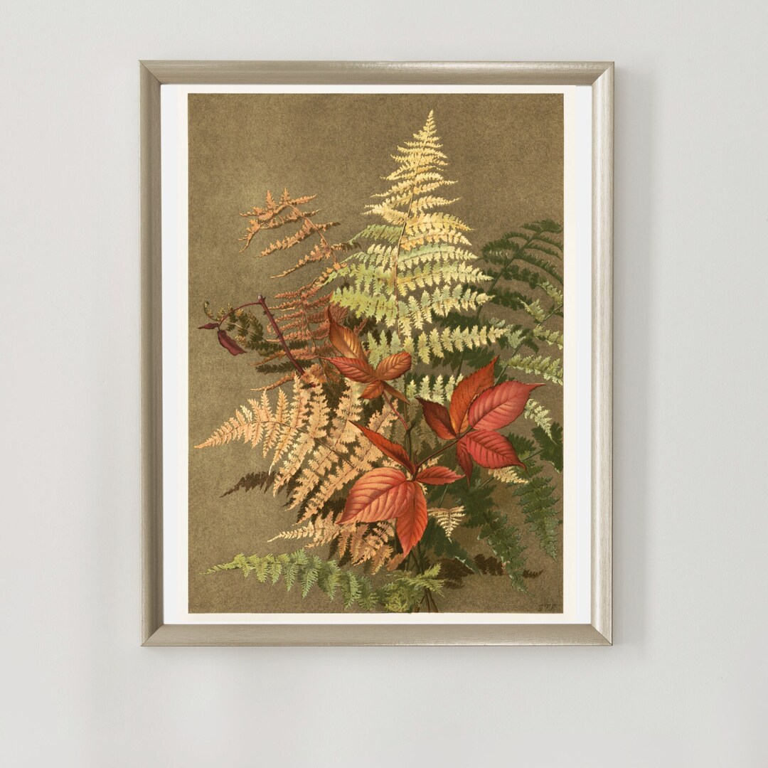 Vintage Fern Print, Fern Leaves Wall Art, Green and Brown Fern Wall Art ...