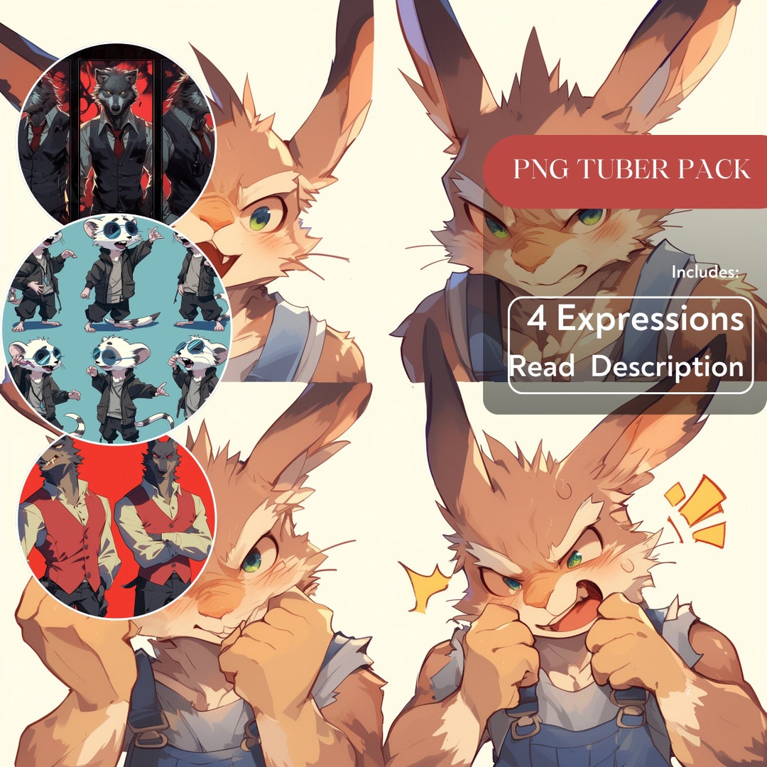 Furry CUSTOM Pngtuber Twitch Vtuber Made-to-order Pngtuber Animation ...