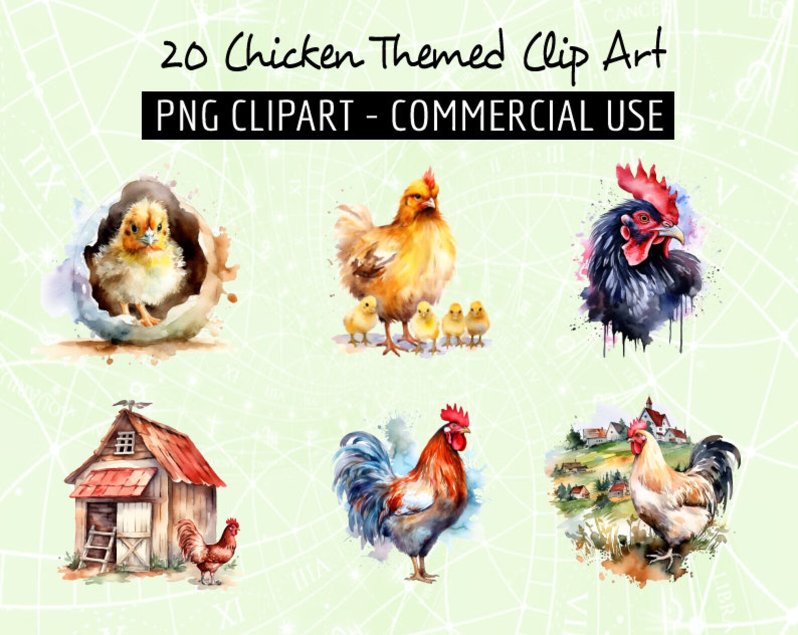 Watercolor Chicken Clipart Drawing Bundle Rooster Clipart - Etsy