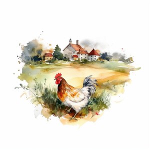 Watercolor Chicken Clipart Drawing Bundle Rooster Clipart - Etsy