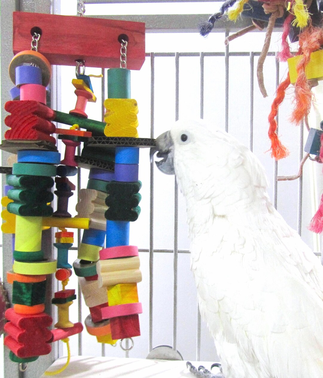 Large Bird Toy: Cardboard Bagels and Wooden Blocks, Parrot Enrichment ...