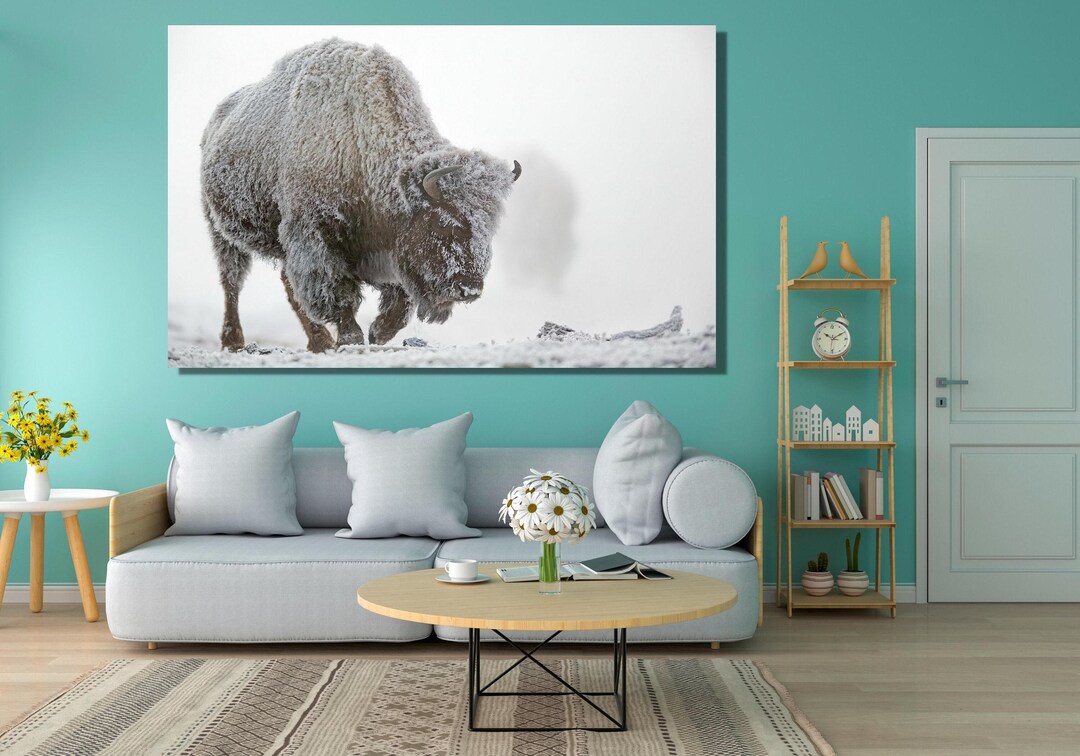 Buffalo Bison Ready to Hang Canvas, Buffalo Skull Canvas Wall Hanging ...