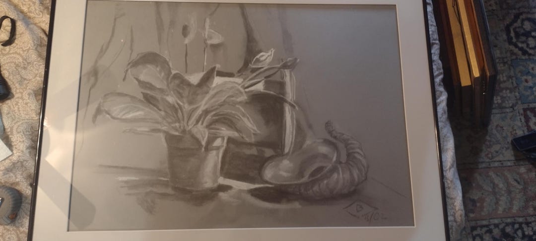 Vintage Charcoal Pencil Shaded Artwork With Tulips and Conch Shell ...