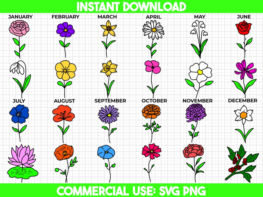 Flor del mes de nacimiento svg diseños de flores del mes de - Etsy España