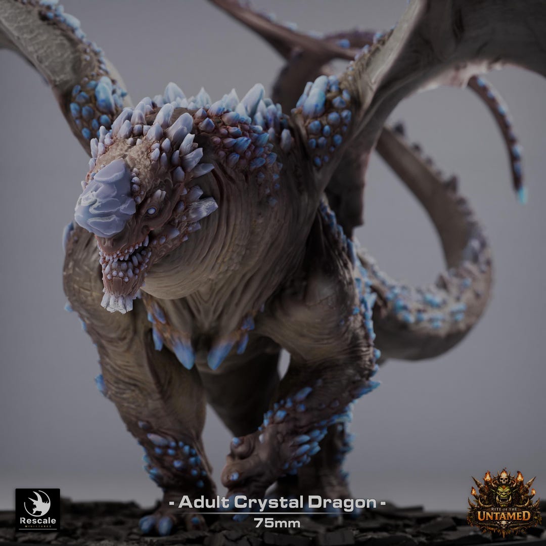 Crystal Dragon - Untamed- Dungeons and Dragons - RPG Tabletop Miniature ...