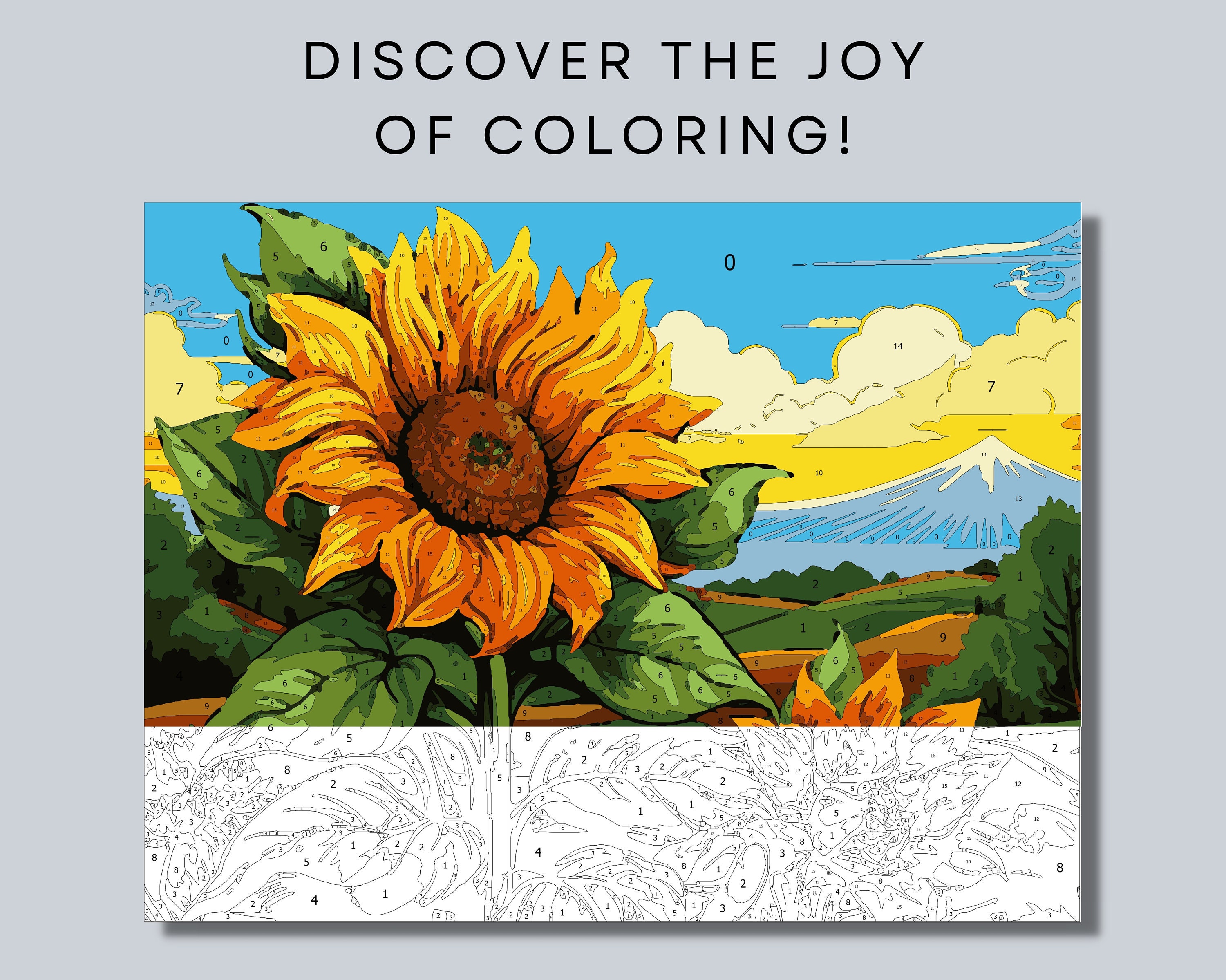 Color by Number, Paint by Number, Paint Number Adult, Coloring Numbered ...