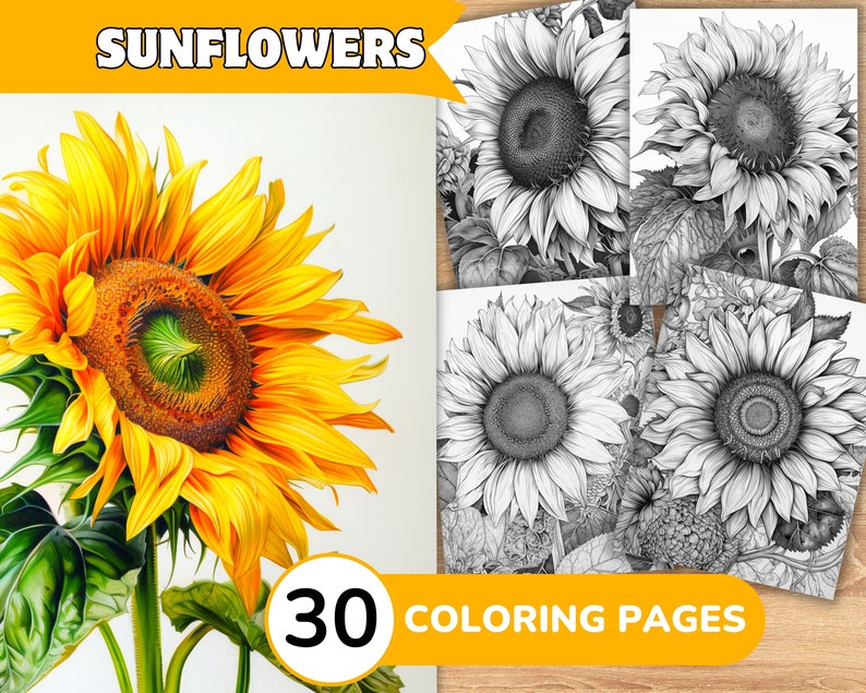Sunflowers Grayscale Coloring Pages Book, Beautiful Sunflowers ...