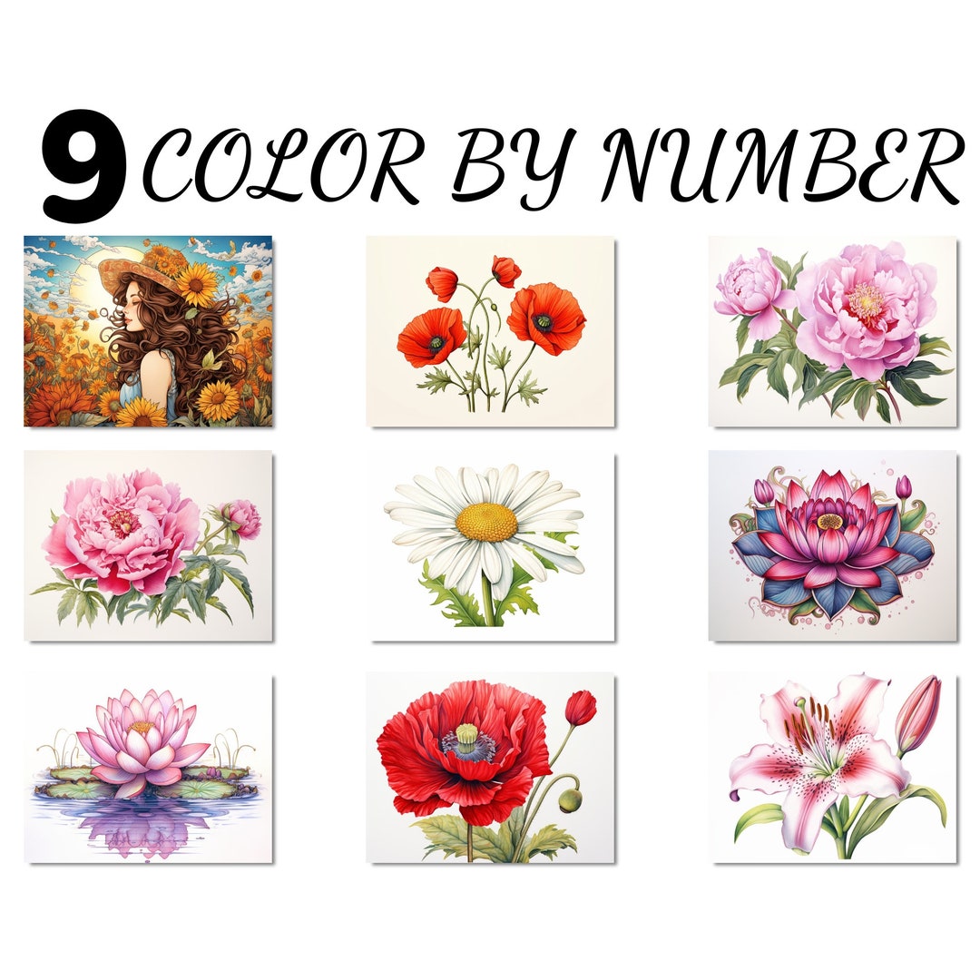 Color by Number, Paint by Number, Paint Number Adult, Coloring Numbered ...