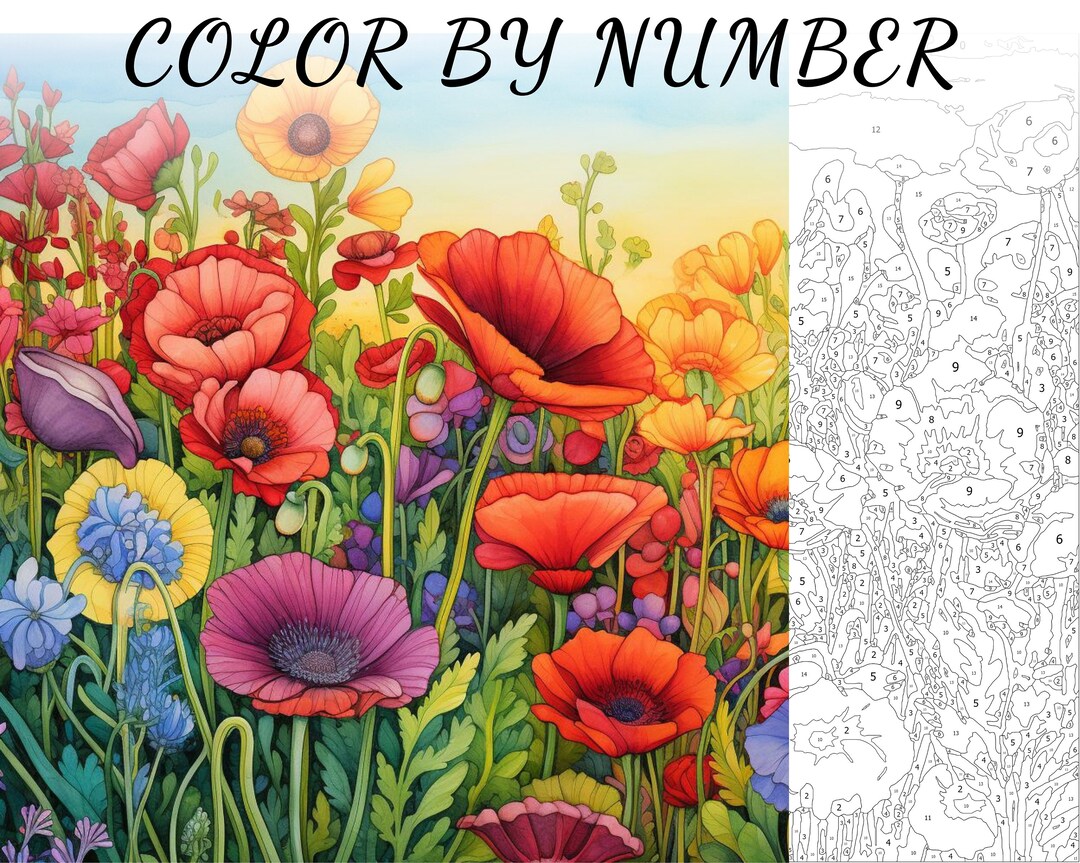 Color by Number, Paint by Number, Paint Number Adult, Coloring Numbered ...