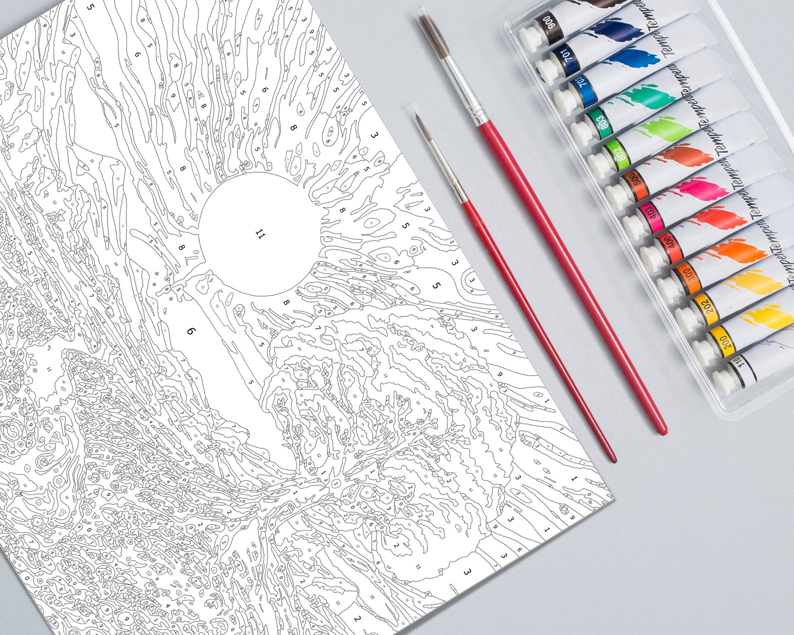 Color by Number, Paint by Number, Paint Number Adult, Coloring Numbered ...